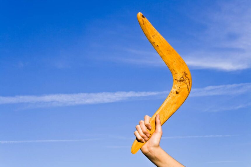 Top 4 des boomerang en 2025 - Meilleur Boomerang (qui revient)